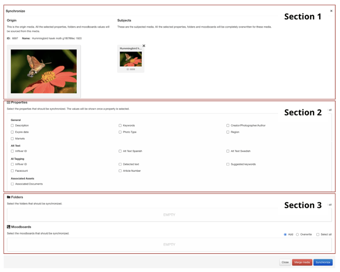 How to remove duplicated assets